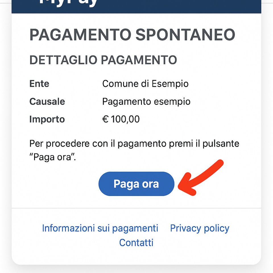 💰 Multa, Ammenda e Pena Pecuniaria: Come Funziona la Rateizzazione
